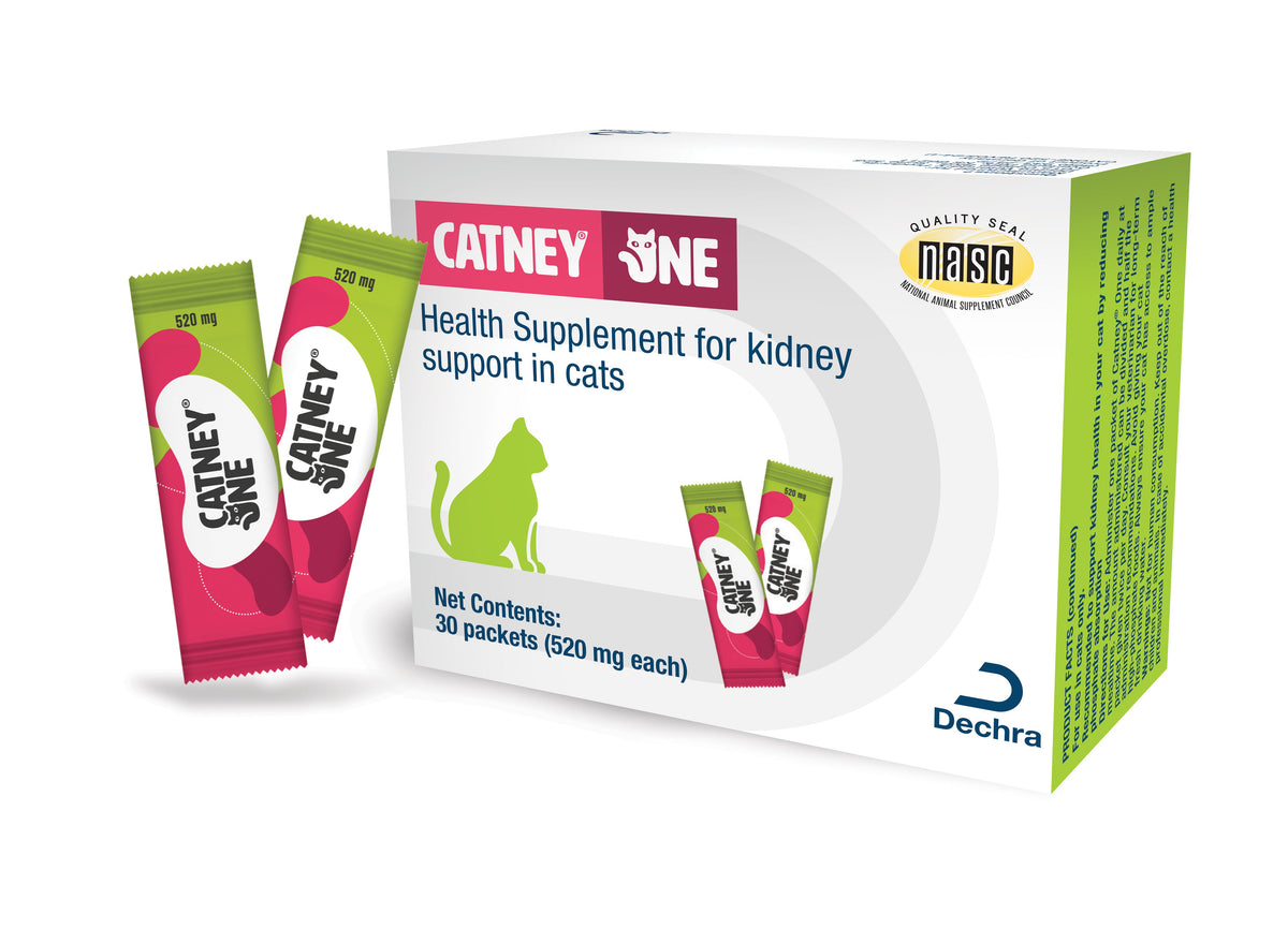 Catney One Kidney Support Cat Supplement, 520mg, 30 count — Lambert Vet ...