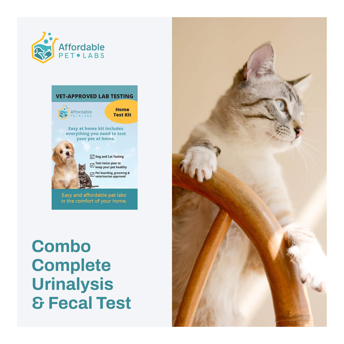 Combo Complete Urinalysis & Fecal Test For Cats, Easy Home Kit ...