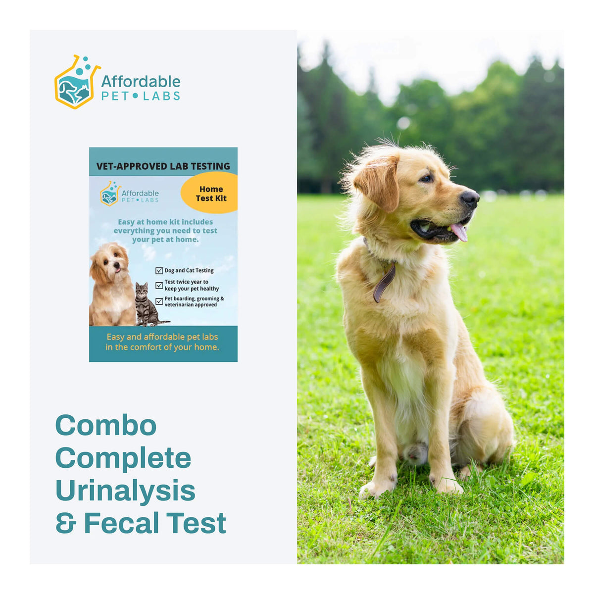 Combo Complete Urinalysis & Fecal Test For Dogs, Easy Home Kit ...