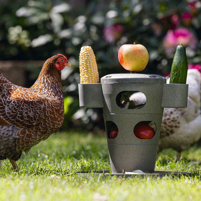 Snack / Feed Tower for Chickens, Eco-Friendly Feeder — Lambert Vet Supplies