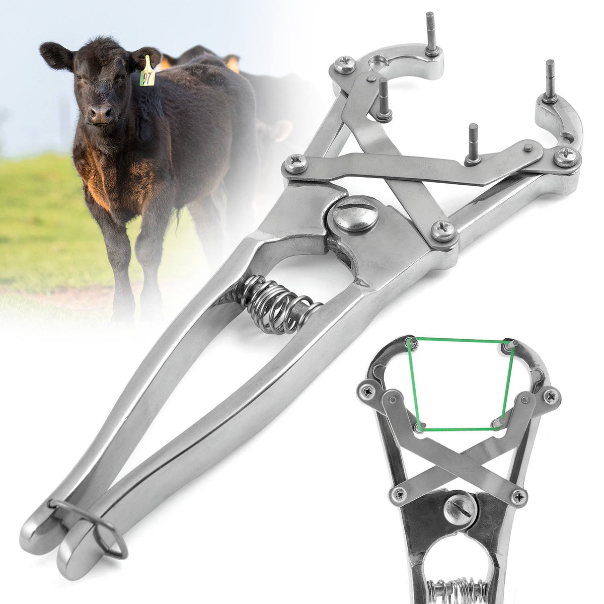 Jeffers Band Castration Tool for Cattle & Livestock — Lambert Vet Supplies