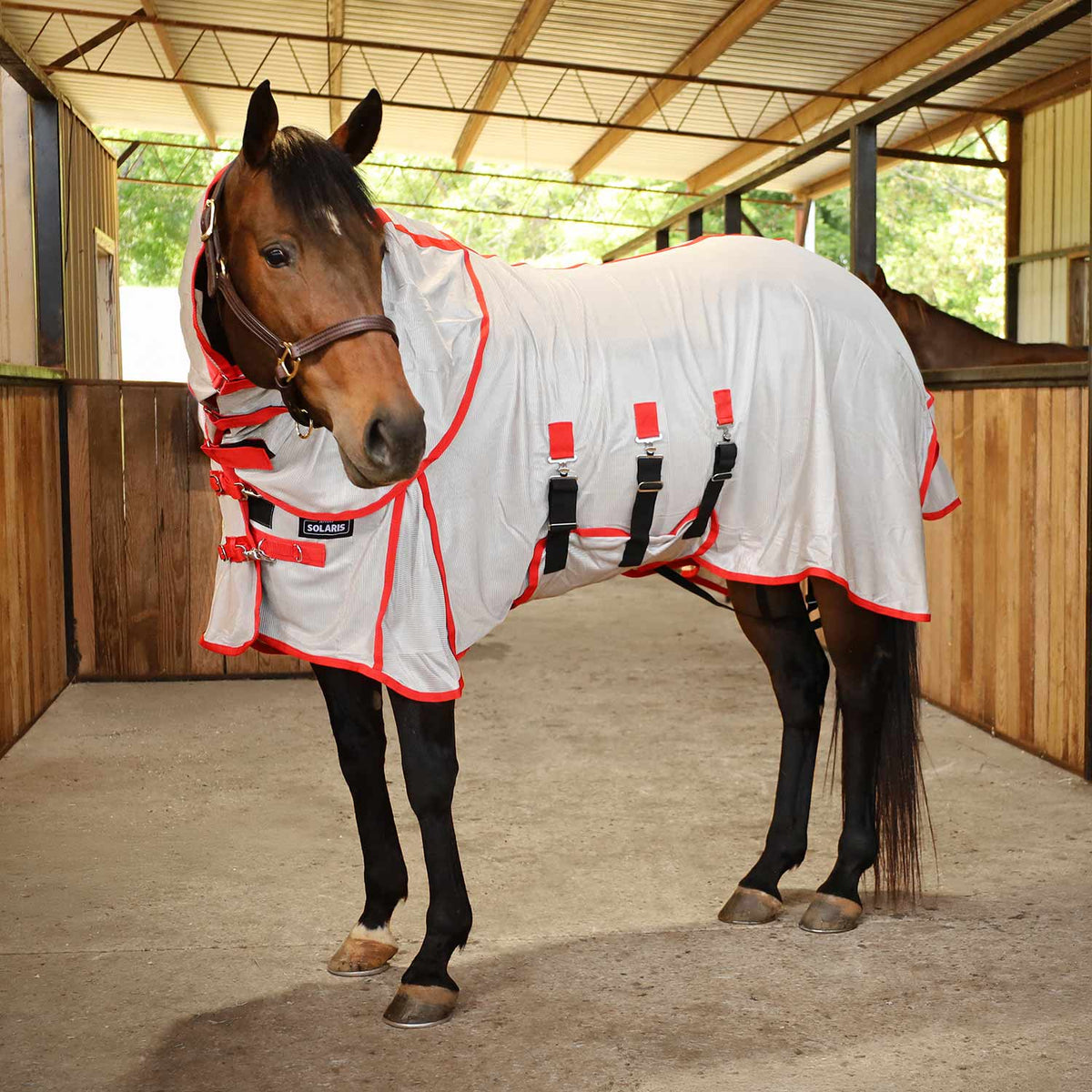 Jeffers Solaris Horse Fly Sheet w/ Detachable Neck, Grey/Red — Lambert ...