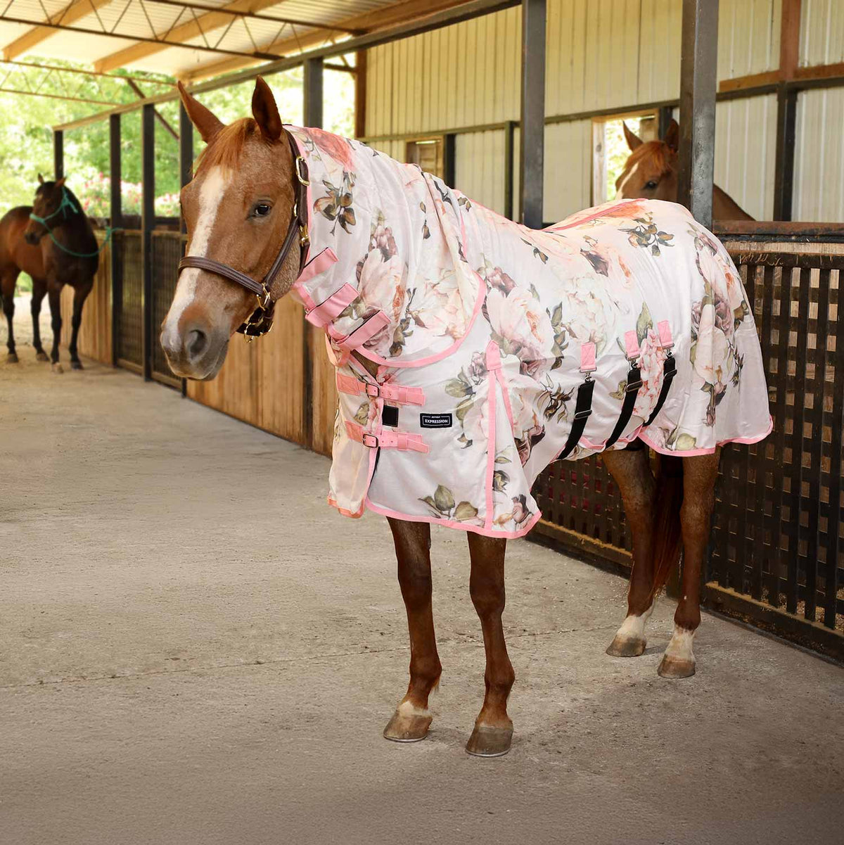 Jeffers Expression Softmesh Combo Neck Fly Sheet for Horses — Lambert ...