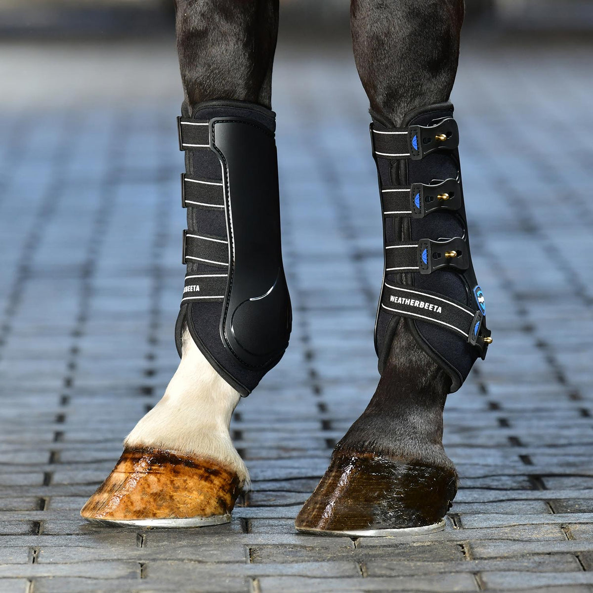 WeatherBeeta Tough-Tec Hard Shell Dressage Boots , Multiple Colors ...