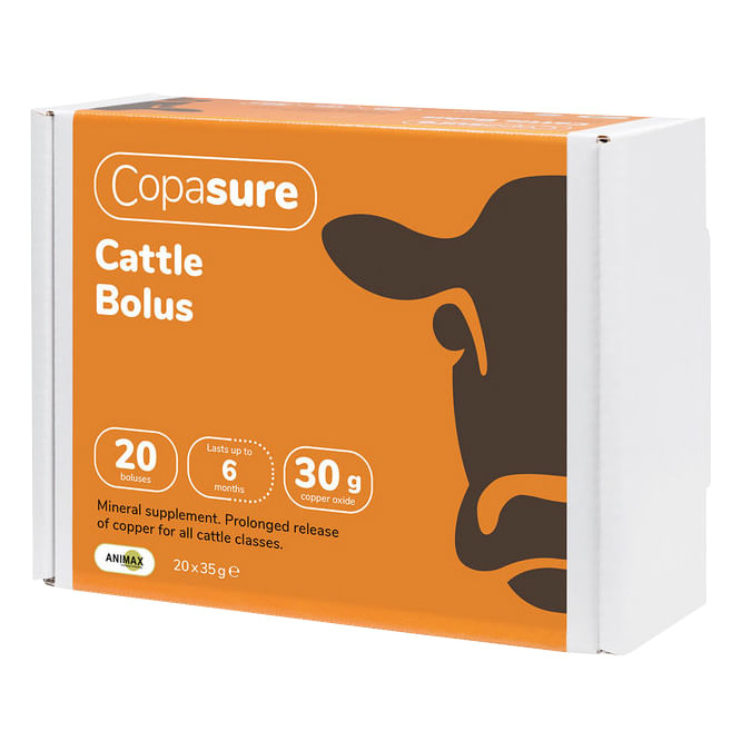 Copasure Bolus Copper Supplement for Cattle — Lambert Vet Supplies