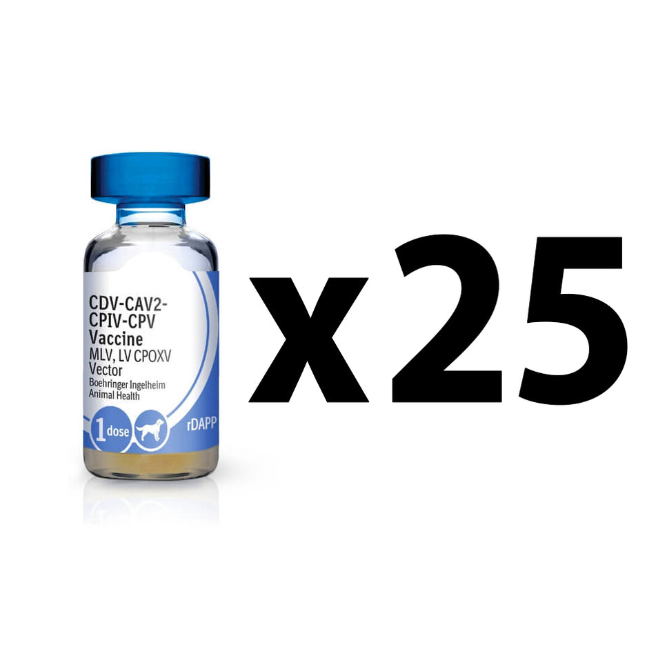 Recombitek C-4 Dog Vaccine, 25 x 1mL — Lambert Vet Supplies