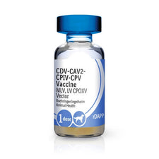 Recombitek C-4 Dog Vaccine, 25 x 1mL — Lambert Vet Supplies