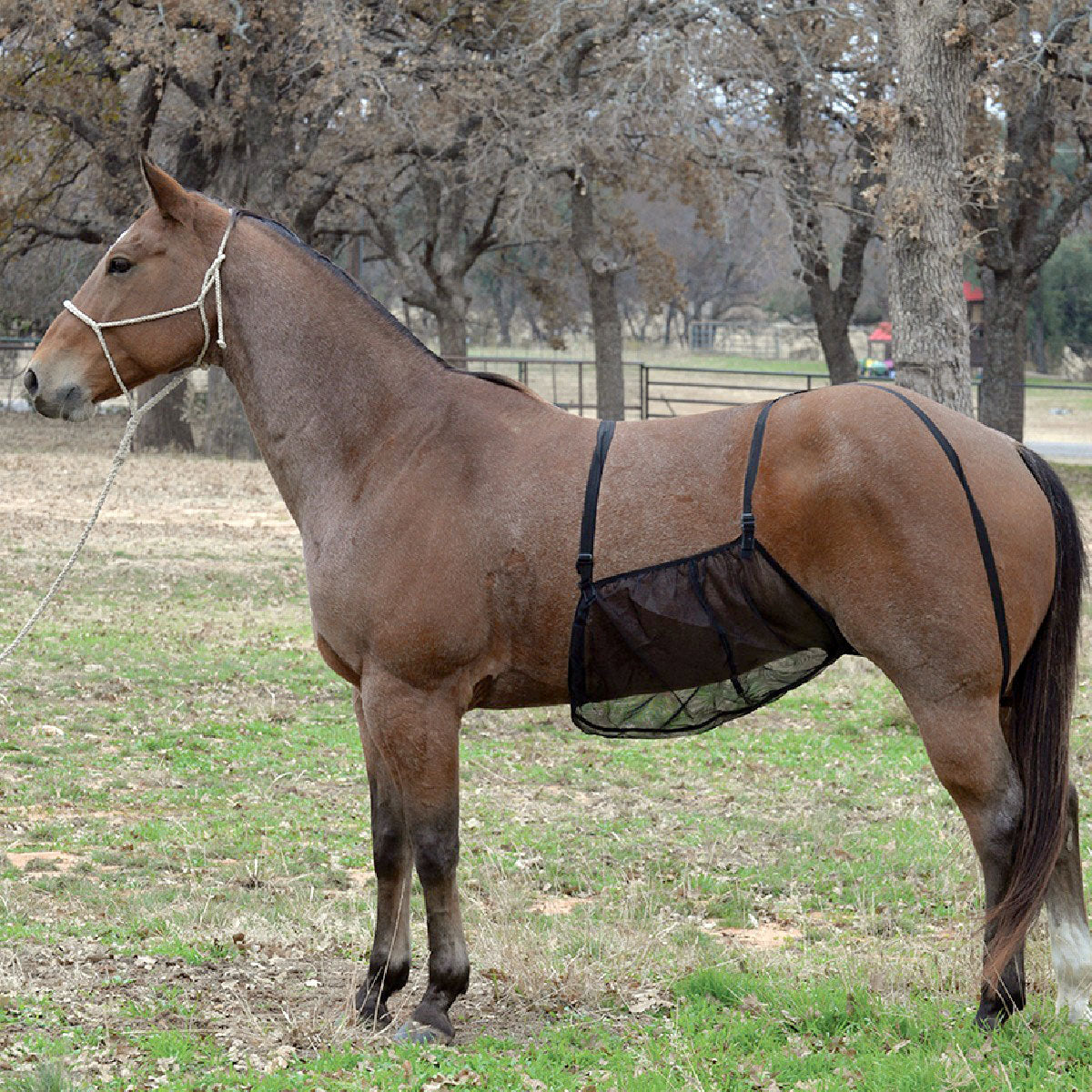 Quiet Ride Belly Guard for Horses, Fly Protection — Lambert Vet Supplies