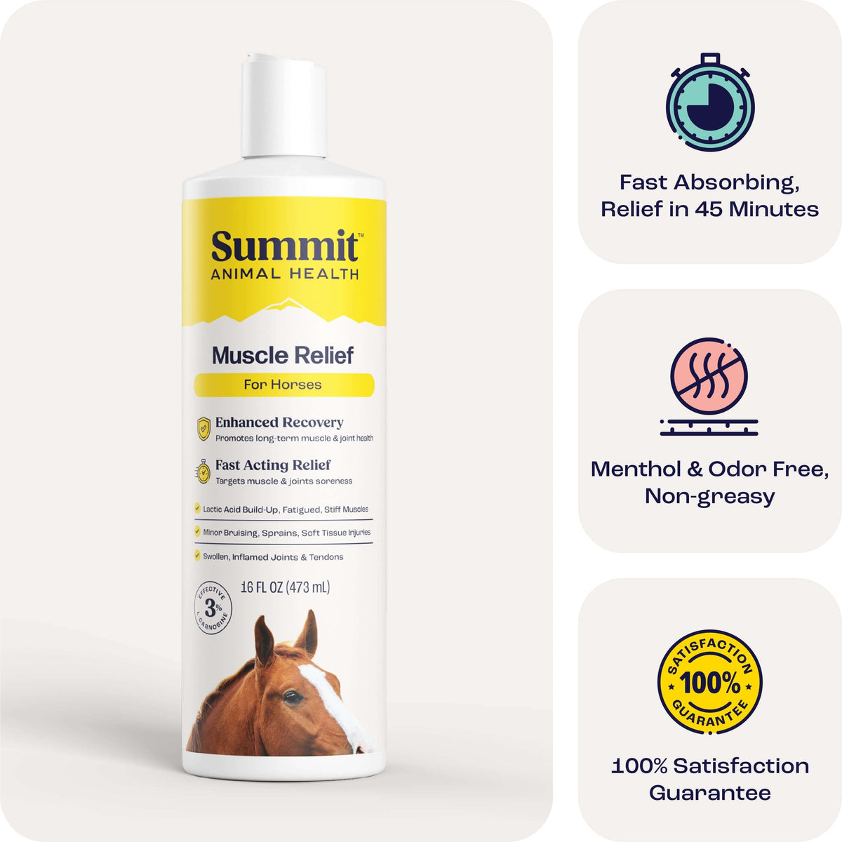 Summit Animal Health Muscle Relief for Horses, 16oz — Lambert Vet Supplies