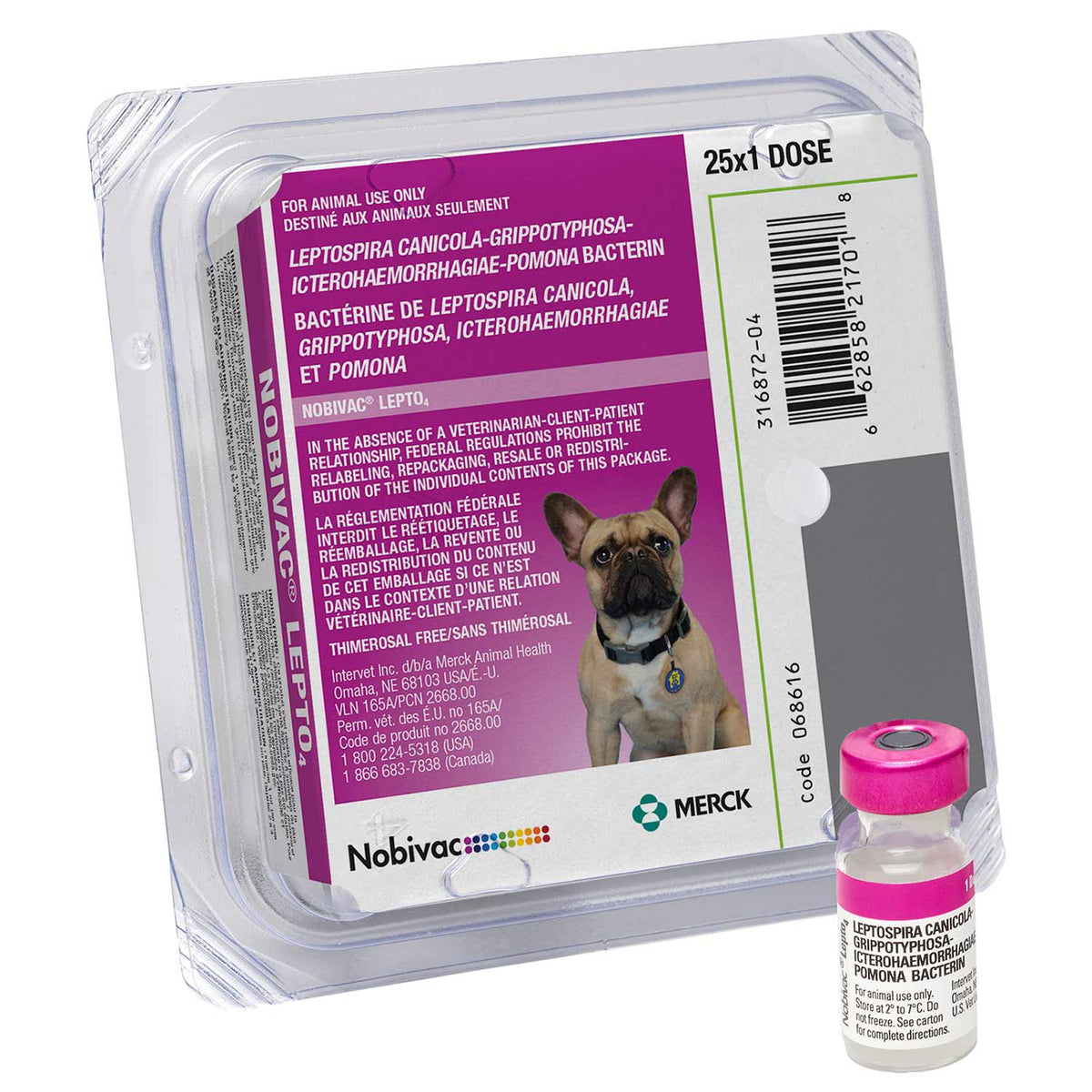 Merck Nobivac Lepto 4 Dog Vaccine, 25 x 1 single doses — Lambert Vet ...
