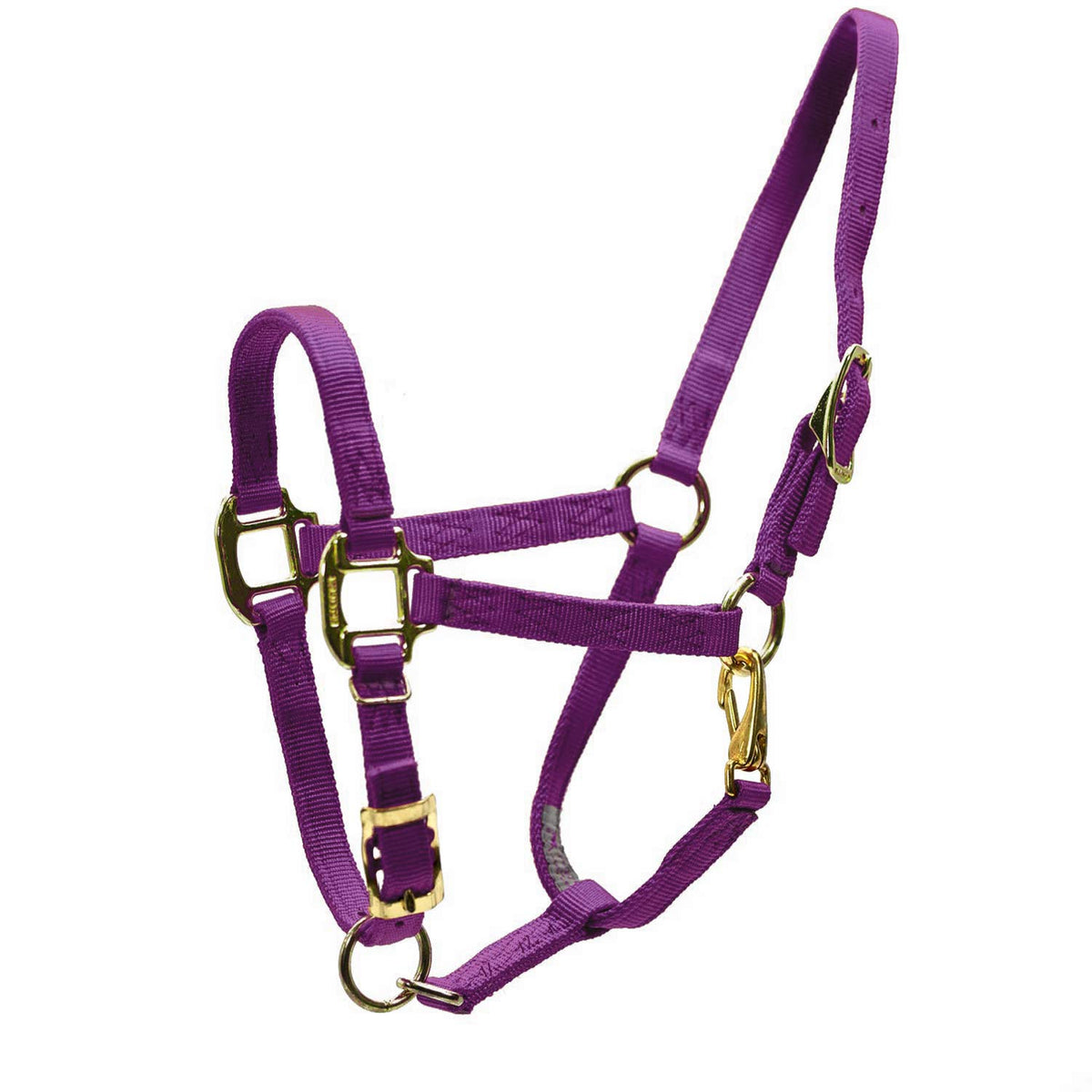 3/4" Adj Miniature Halter - Multiple Colors — Lambert Vet Supplies