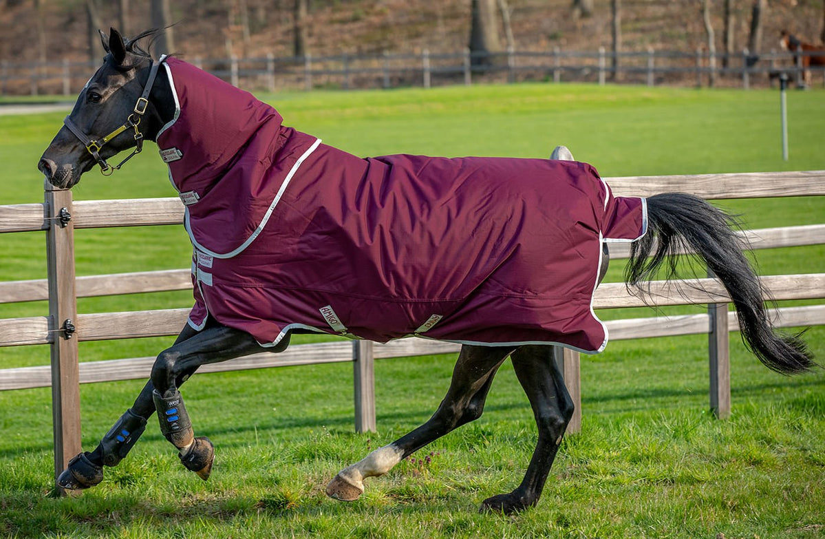 Amigo Hero Ripstop Plus Medium Weight Turnout Blanket — Lambert Vet Supplies