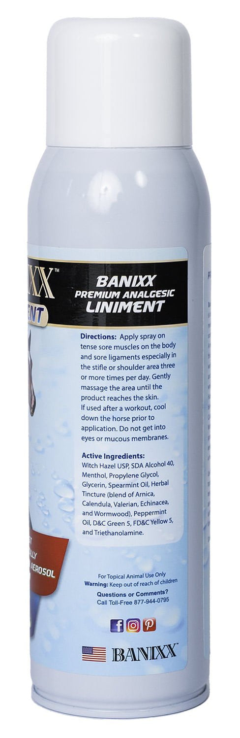 Banixx Premium Spray Liniment for Horses — LVS