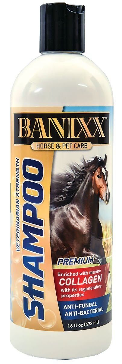 Banixx Veterinary Strength Shampoo for Dogs/ Horses, 16 oz — Lambert ...