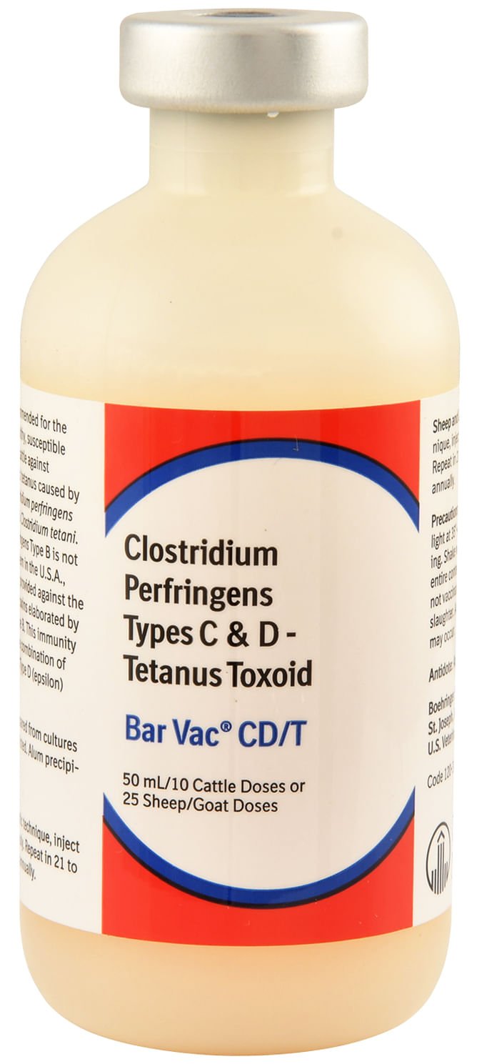 Bar Vac CD/T Cattle, Sheep, and Goat Vaccine — Lambert Vet Supplies