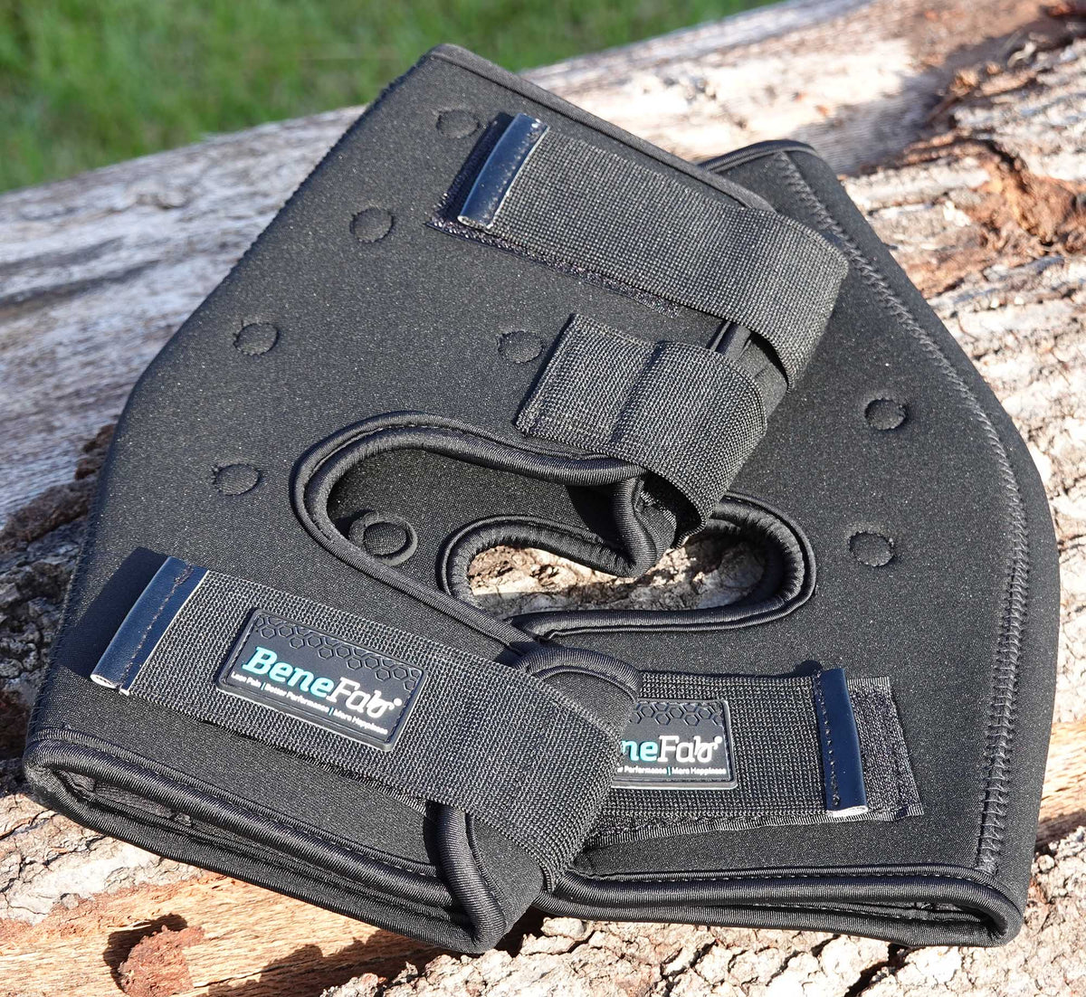 BeneFab Rejuvante Smart Hock Boots for Horses, Black — Lambert Vet Supplies