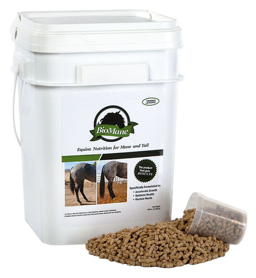 BioMane Equine Supplement Pellets — Lambert Vet Supplies
