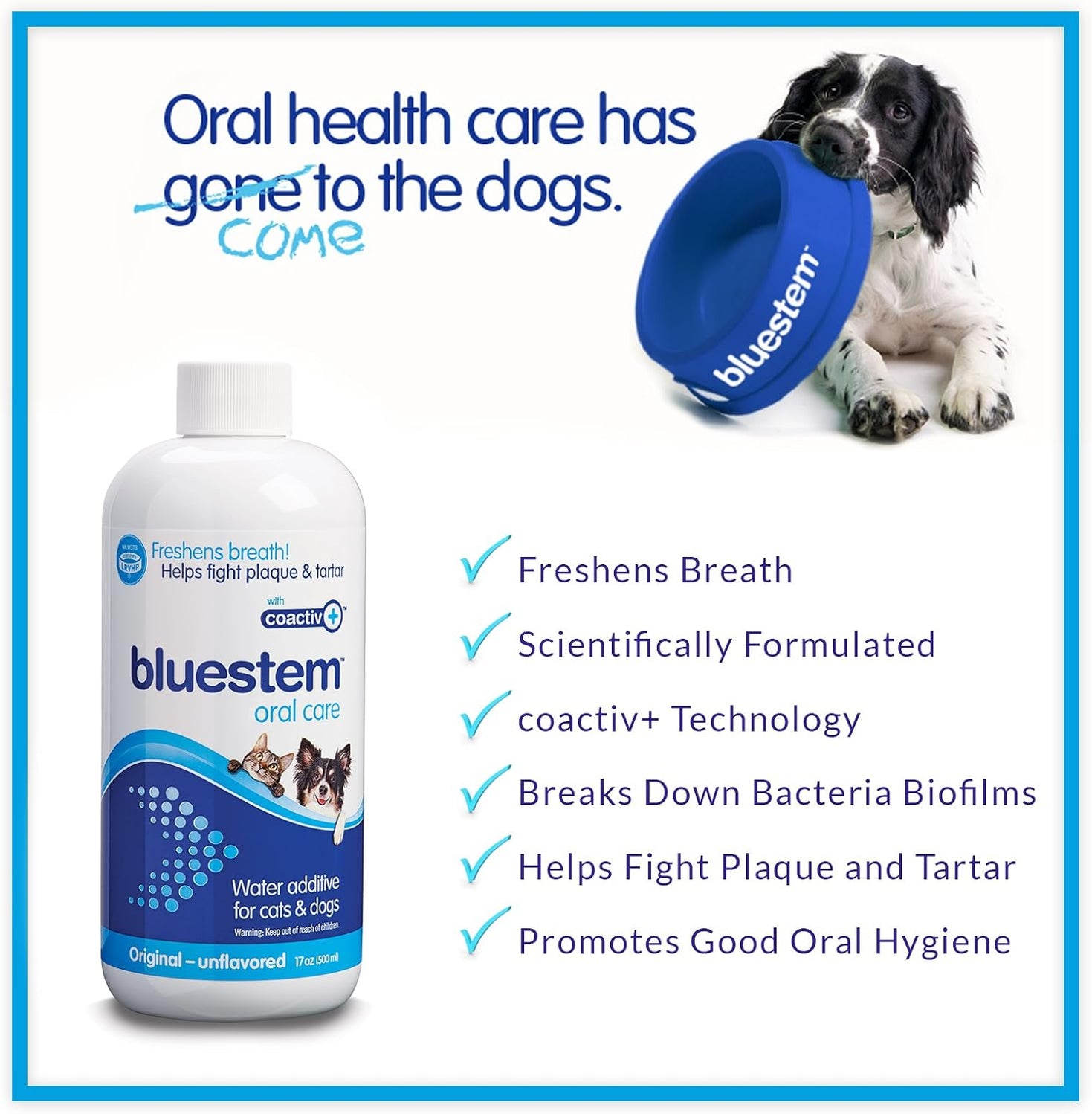 bluestem Water Addit with coactiv+ for Dogs and Cats — Lambert Vet Supplies