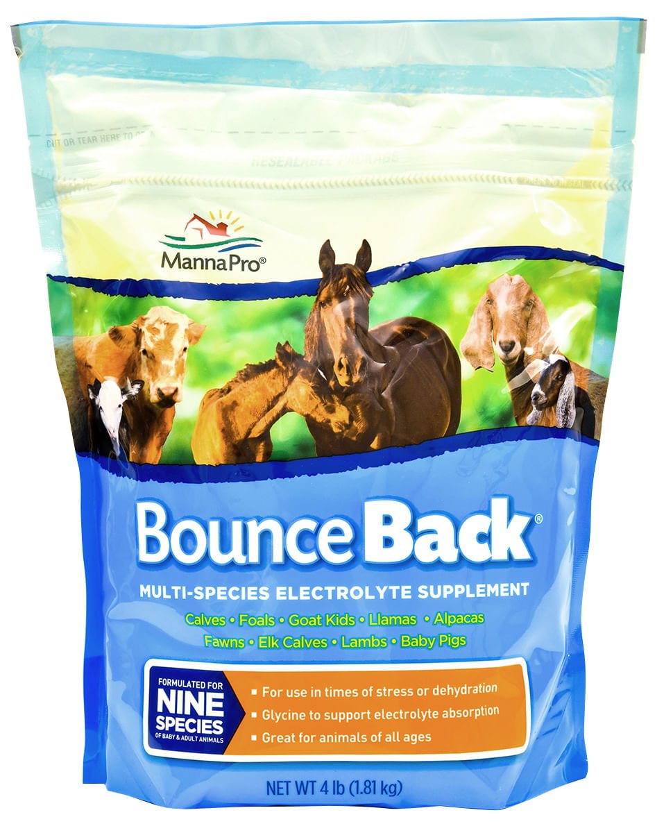 Manna Pro® Bounce Back® Multi-Species Electrolyte Suppl — Lambert Vet ...