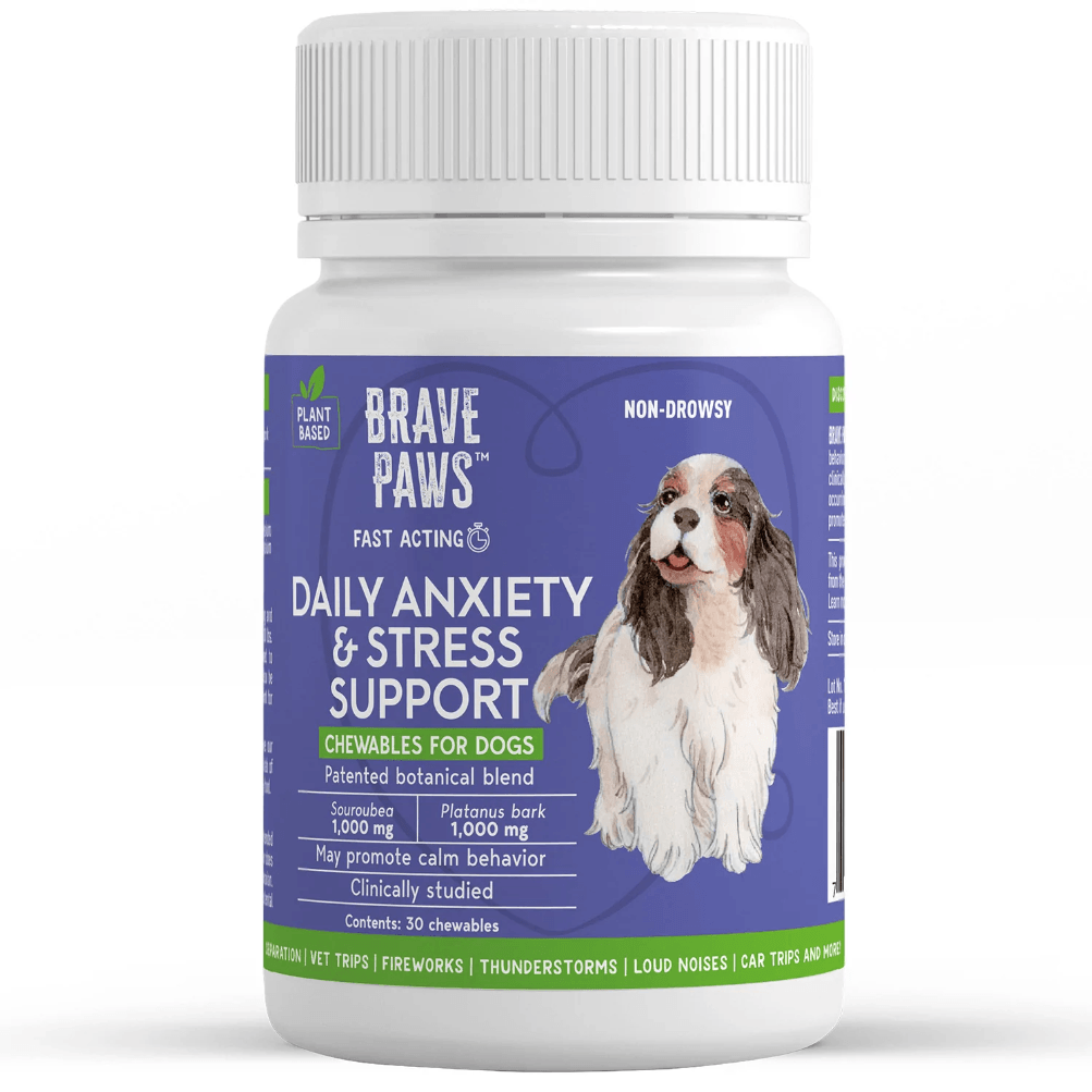Brave Paws Dog Anxiety & Stress Support Chewables, Beef 30 ct — Lambert ...