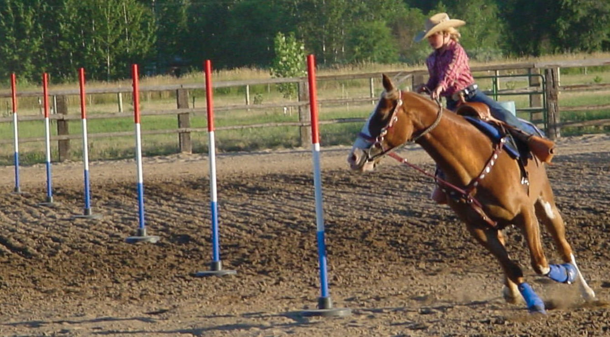 Break-Down Pole Bending Poles for Racing — Lambert Vet Supplies