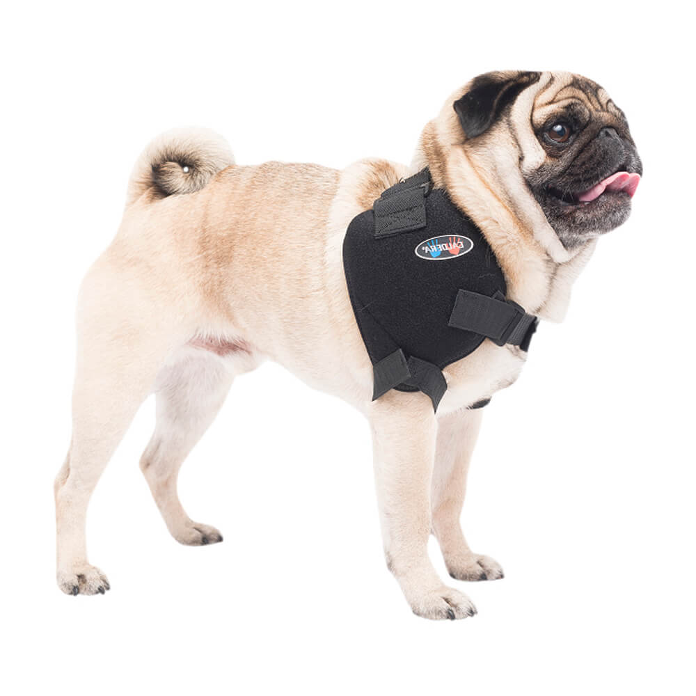 Caldera Pet Therapy Shoulder Wrap with Therapy Gel for Dogs — Lambert ...
