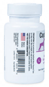 CapShield Maxx Flavored Tabs for Dogs, 6 ct — Lambert Vet Supplies