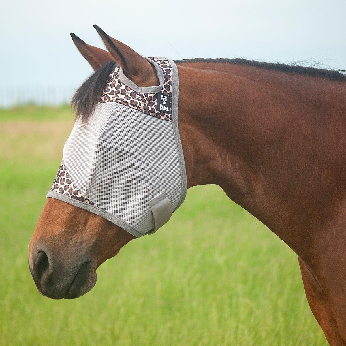 Crusader Fly Mask for Horses, Multiple Colors — Lambert Vet Supplies