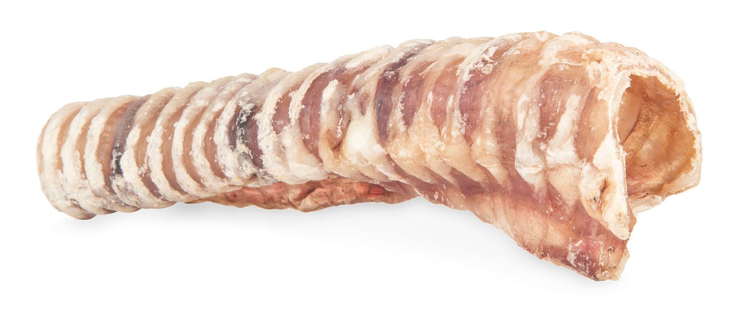 ChewMax 6" Beef Trachea Tubes Dog Chews — Lambert Vet Supplies