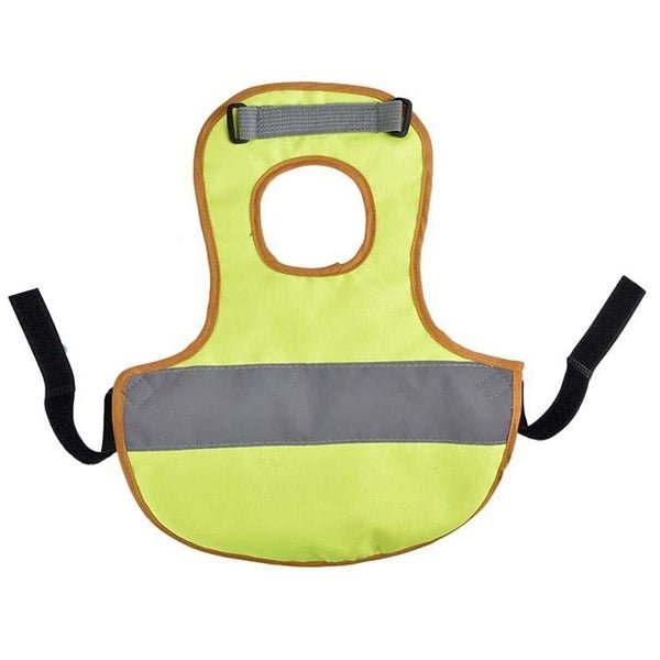 Chicken Hen Saddle Protection Vest with Velcro Closure — Lambert Vet ...