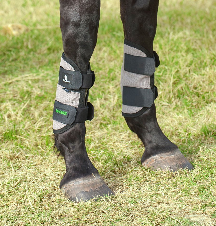 Classic Equine MagNTX Tendon Wraps, Sold in Pair — Lambert Vet Supplies