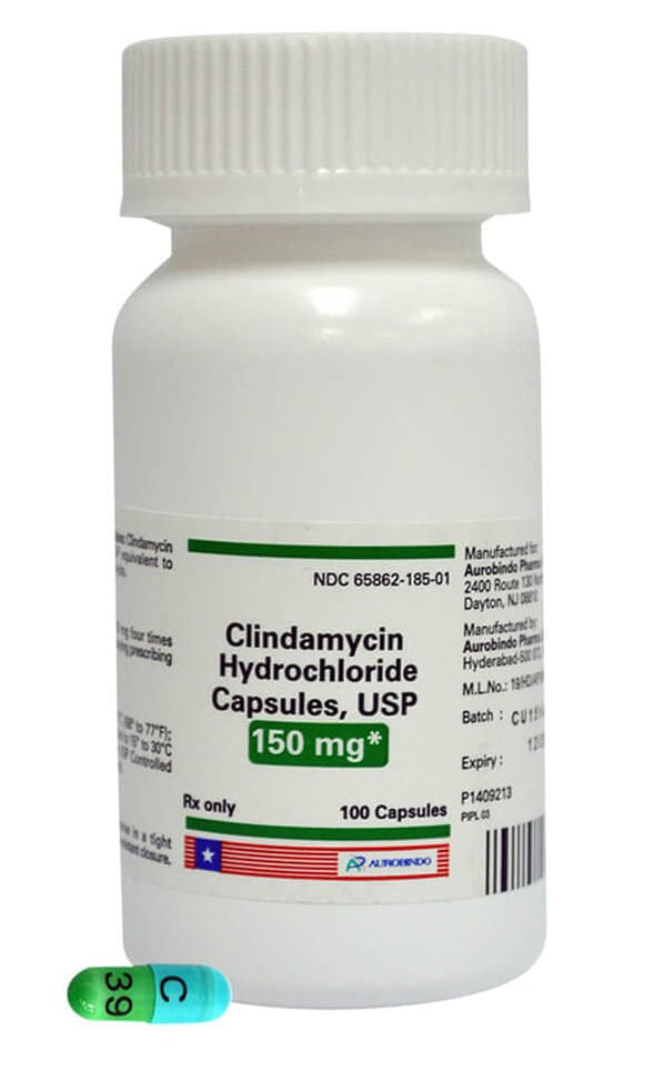 Clindamycin Antibiotic Capsules for Dogs — Lambert Vet Supplies
