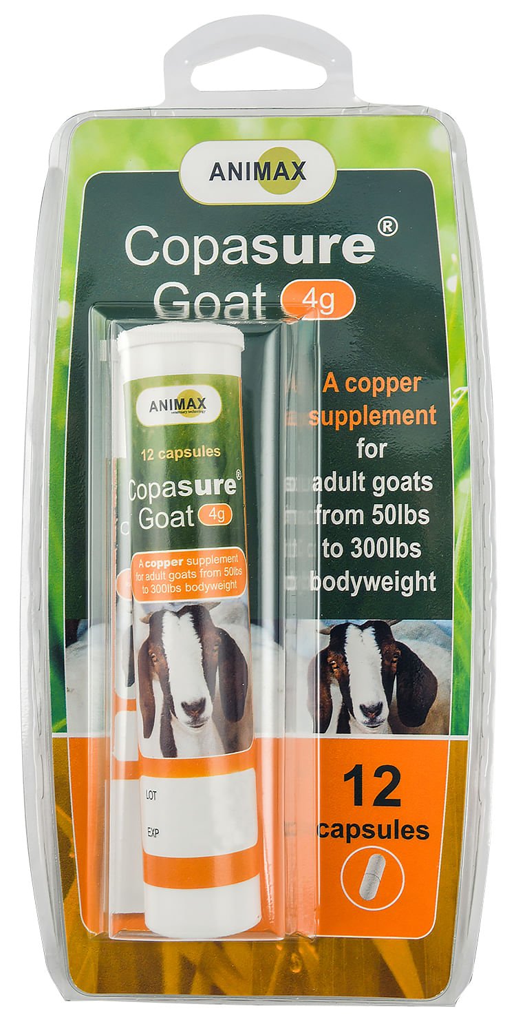 Copasure Bolus Supplement for Goats (4 grams), 12 count — Lambert Vet ...