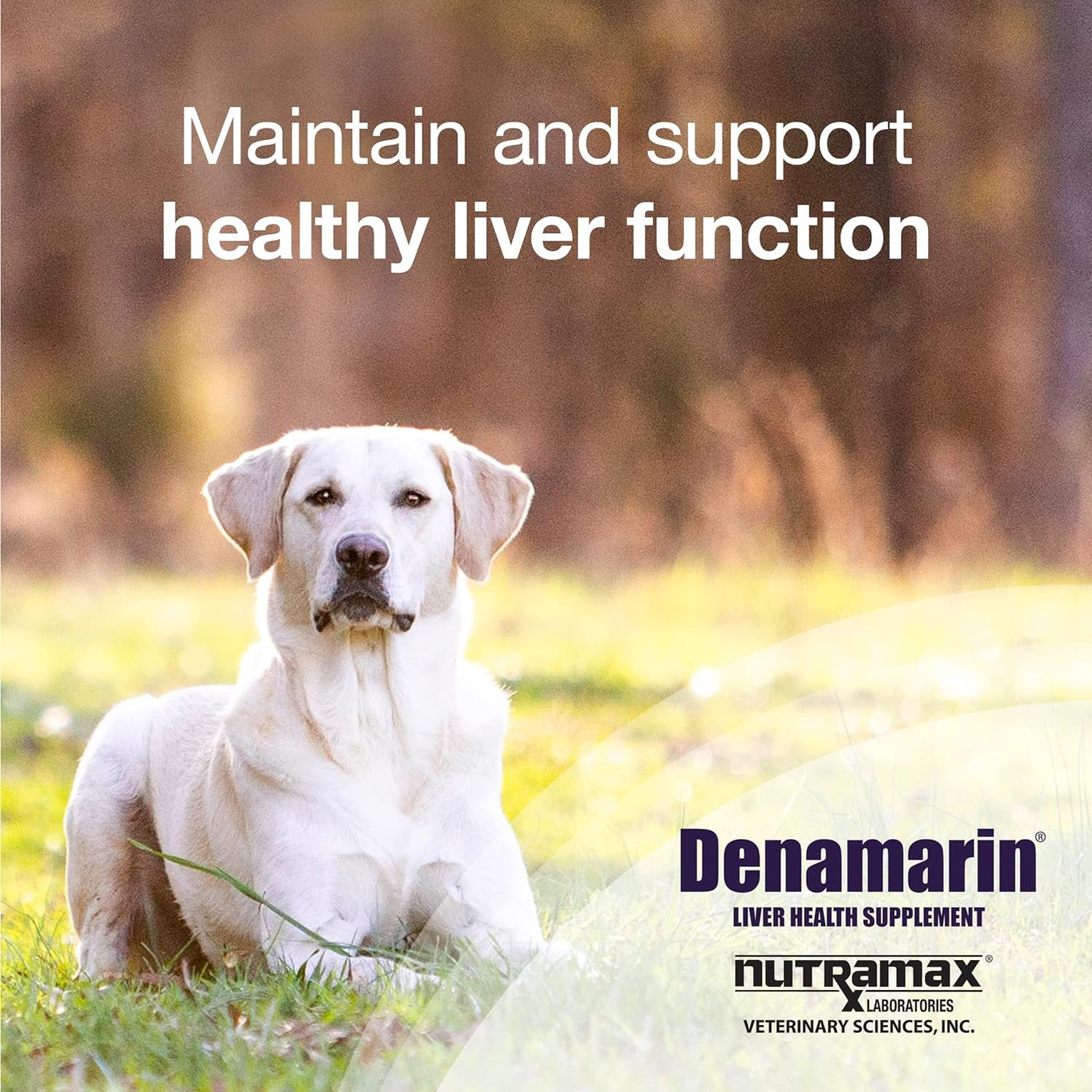 Denamarin Liver Health Chewable Tablets for dogs — Lambert Vet Supplies