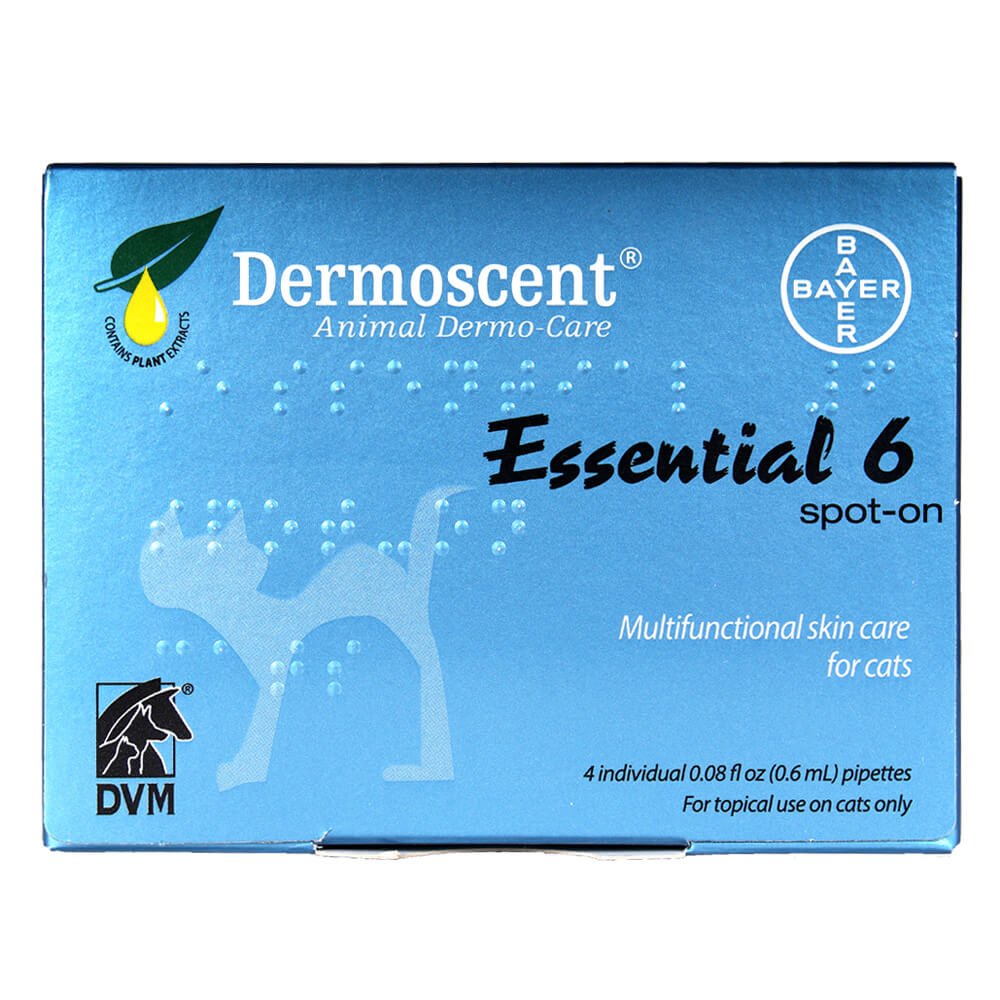 Dermoscent Essential 6 Spot-On Cat Skin Care Treatment — Lambert Vet ...