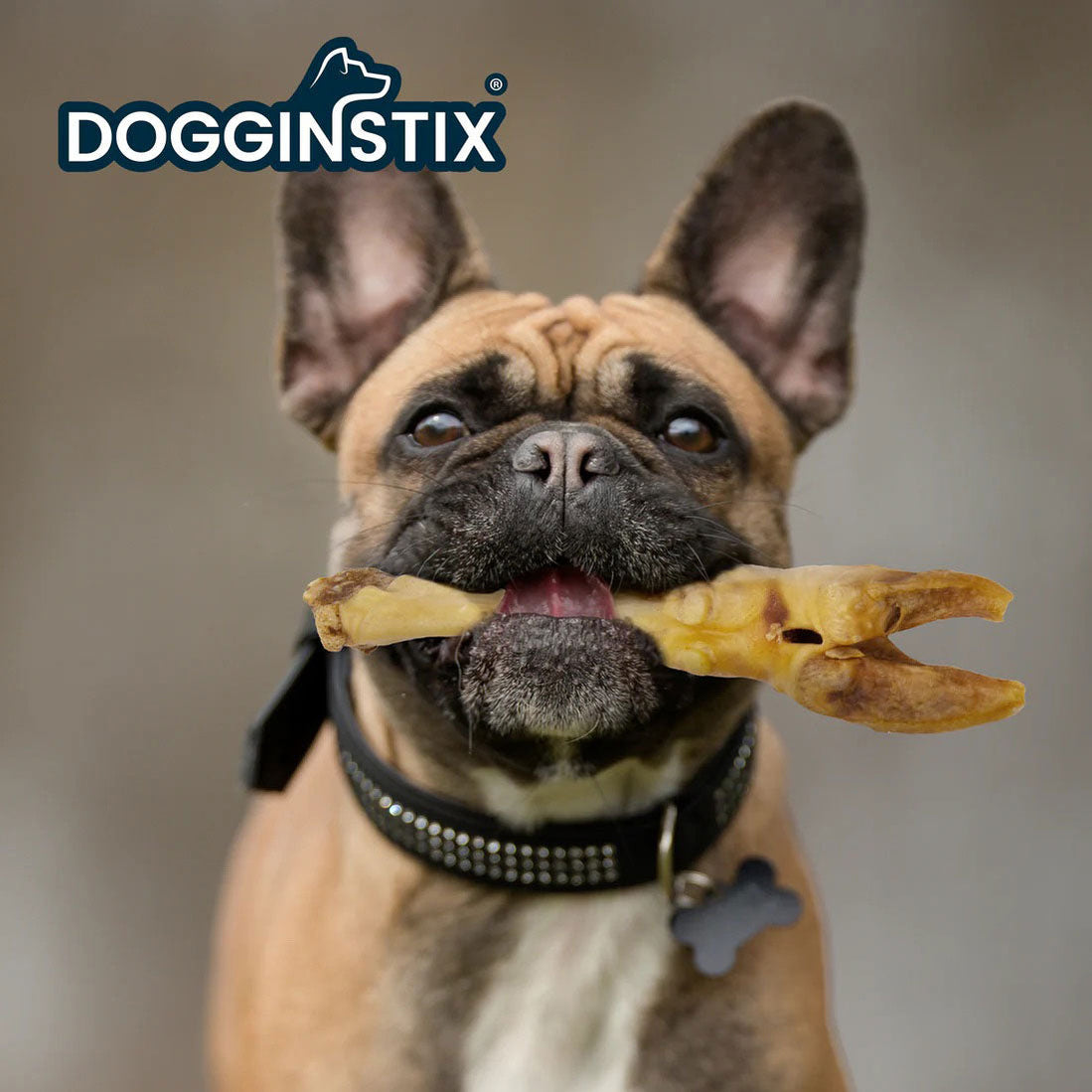 Dogginstix - LAMB FEET - — Lambert Vet Supplies