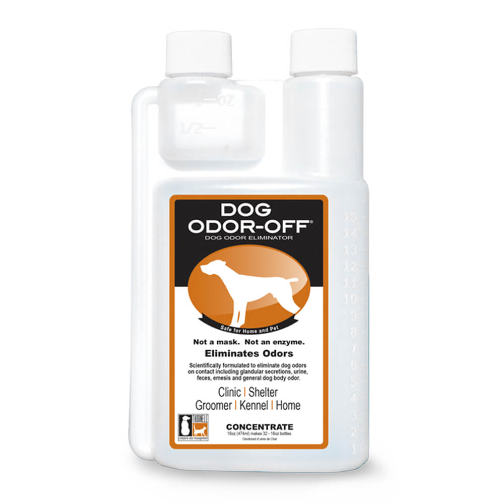 Dog Odor-Off Carpet Concentrate 16oz — Lambert Vet Supplies