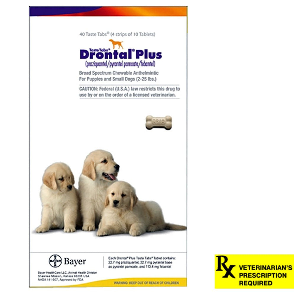 Drontal Plus Dog Dewormer Taste Tabs — Lambert Vet Supplies