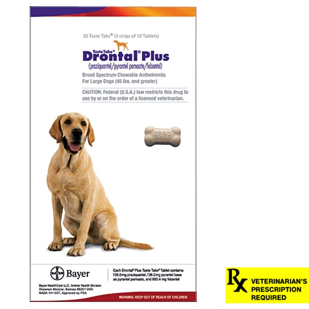 Drontal Plus Dog Dewormer Taste Tabs — Lambert Vet Supplies
