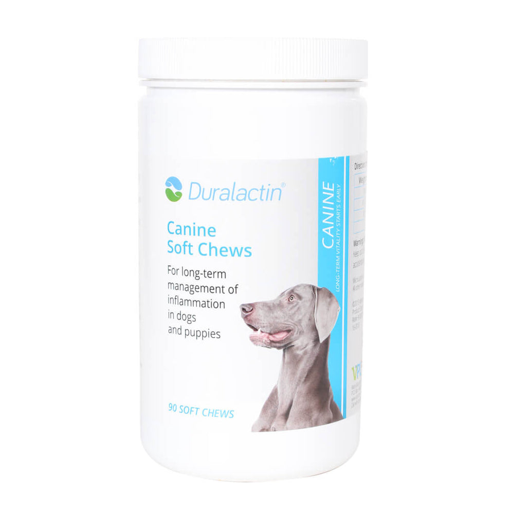 Duralactin Canine Soft Chews Dog Supplement 90 ct — Lambert Vet Supplies