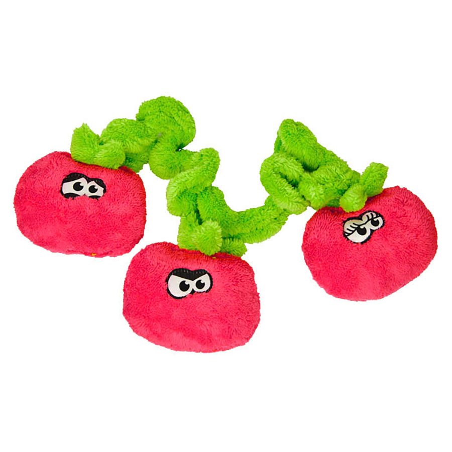 Duraplush Tomatoes Vine Springy Plush Dog Toys, Medium — Lambert Vet ...
