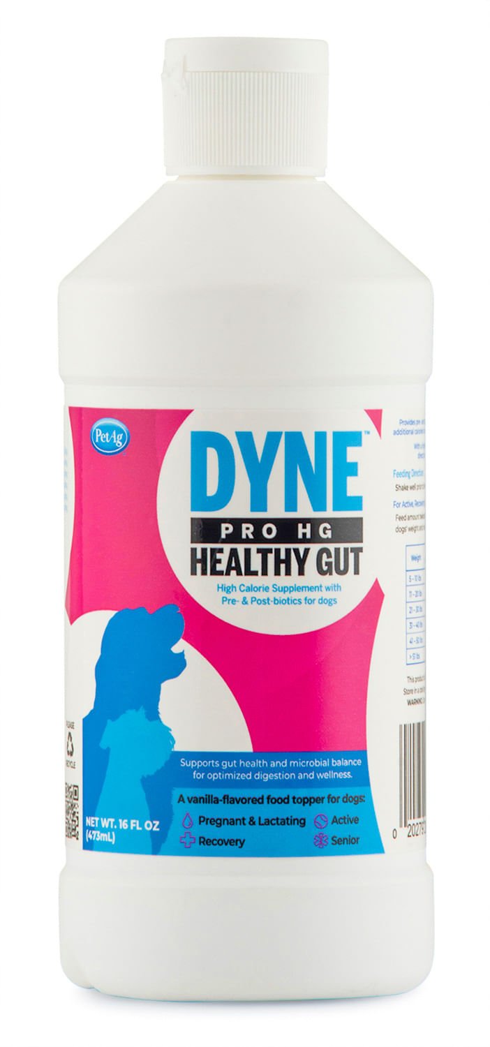Dyne PRO HG Healthy Gut High Calorie Supplement for Dogs — Lambert Vet ...