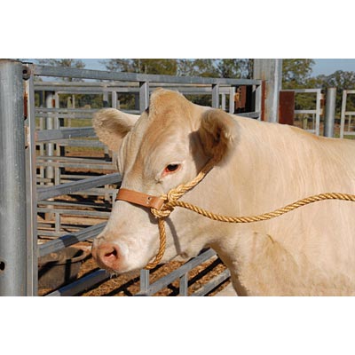 Economy Cow Rope Halter w/Leather Nose Band — LVS