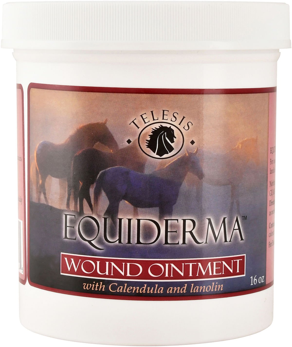 Equiderma Wound Ointment with Calendula for Horses — Lambert Vet Supplies