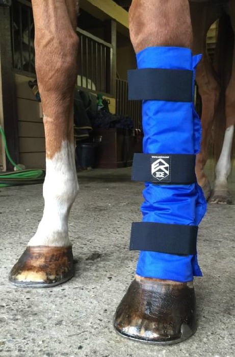 EZ Ice Universal Leg Wrap for Horses — Lambert Vet Supplies