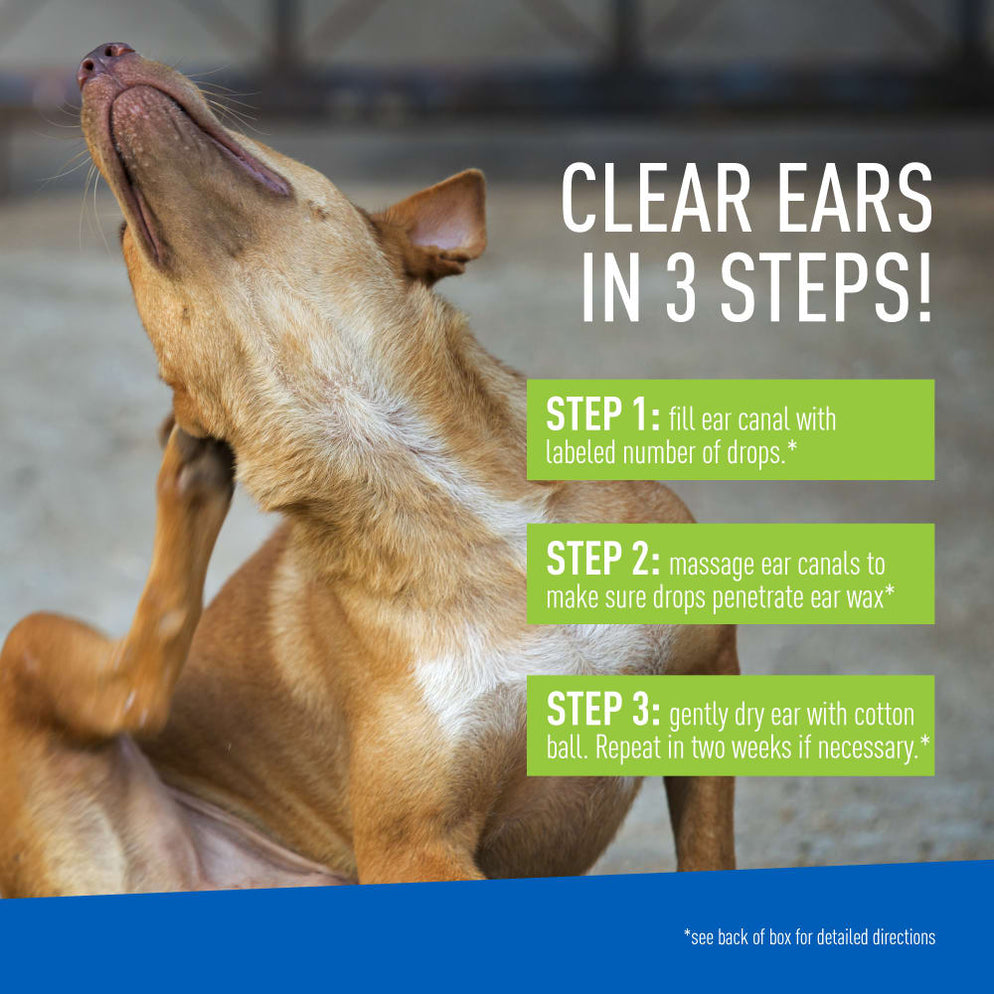Adams - ADAMS Ear Mite Treatment For Dogs and Cats Over 12 Weeks ...