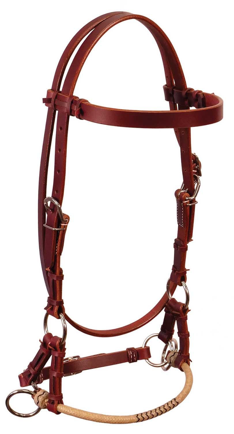 Fully Adjustable Rawhide Side Pull for Horses — Lambert Vet Supplies