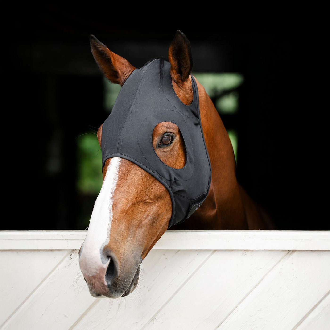 Horseware Ionic Calming Face Mask, Black - Multiple Colors — Lambert ...