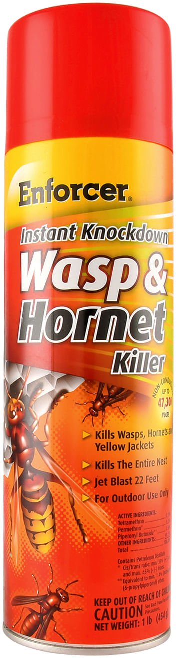 Enforcer Instant Knockdown Wasp & Hornet Killer, 16 oz — Lambert Vet ...