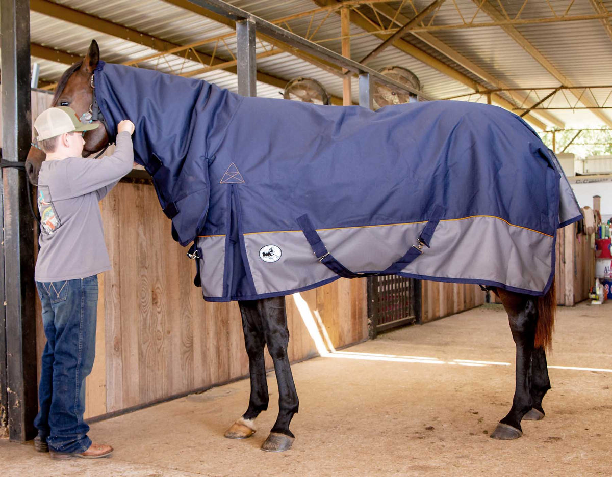 Jeffers Econ Plus Combo Neck Med Turnout Blanket, Navy/Gray — Lambert ...